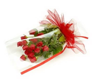 Special Compliment - PhFlower.com